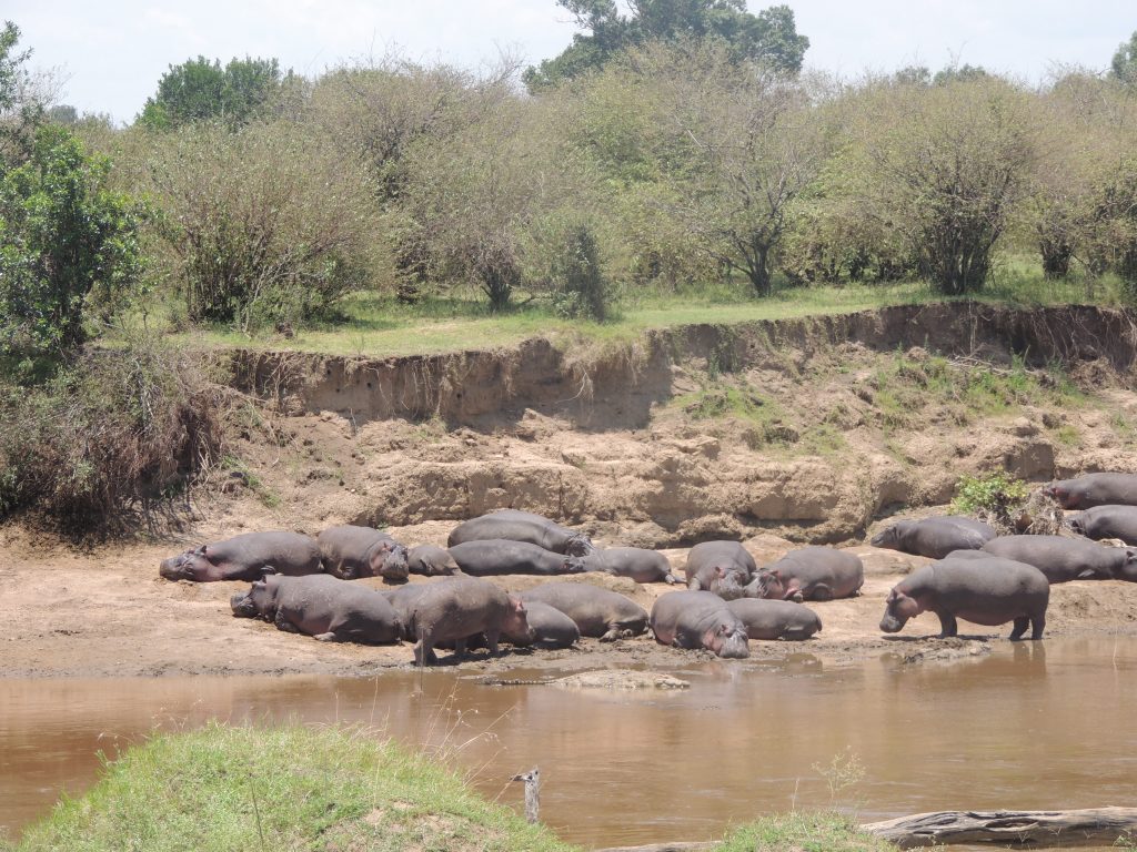 International Day for Disaster Risk Reduction: Reduction of Disaster ...